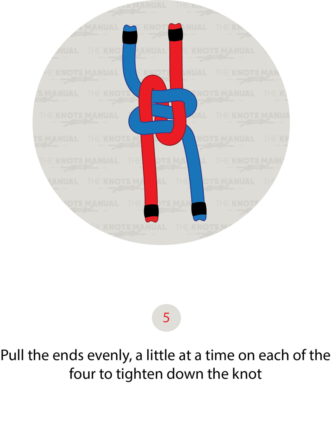 Japanese Square Knot - The Knots Manual