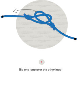 Loop To Loop Knot - The Knots Manual