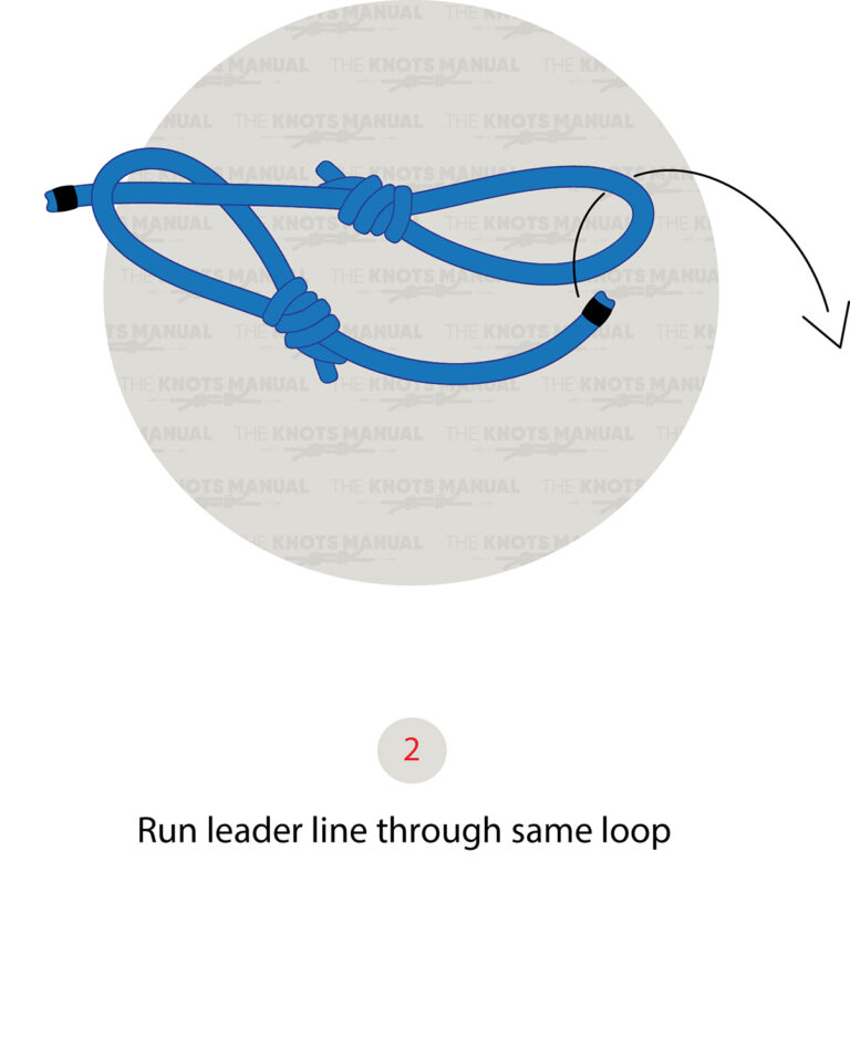 Loop To Loop Knot - The Knots Manual