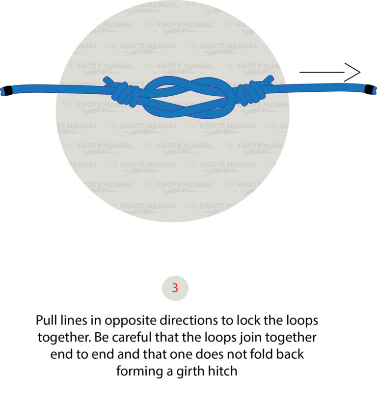 Loop To Loop Knot - The Knots Manual