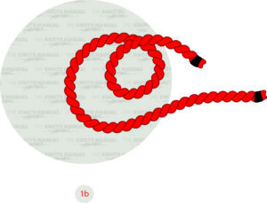 Illustrated Guide: How to Tie a Noose Knot