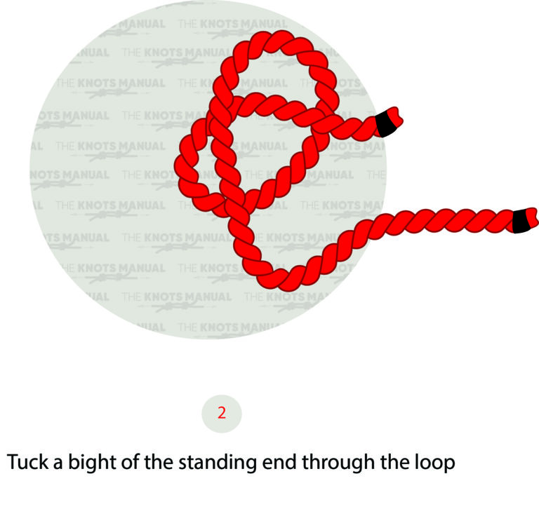 Illustrated Guide: How to Tie a Noose Knot