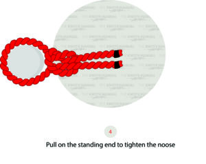 Illustrated Guide: How to Tie a Noose Knot