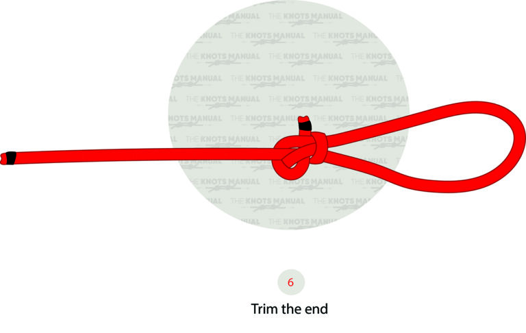 Illustrated Guide: How to Tie a Perfection Loop Knot