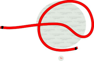 Illustrated Guide: How to Tie a Perfection Loop Knot