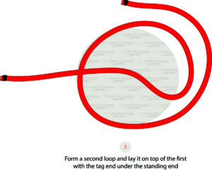 Illustrated Guide: How to Tie a Perfection Loop Knot