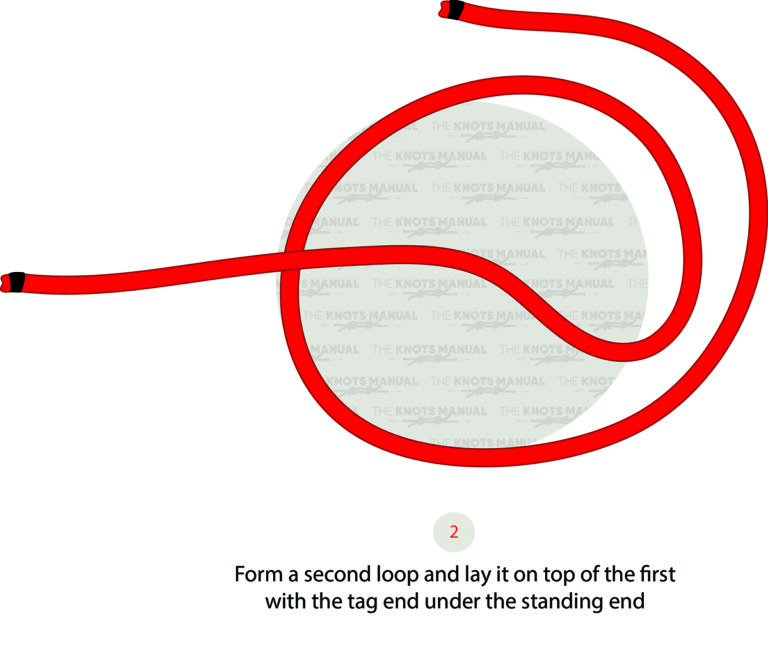 Illustrated Guide: How to Tie a Perfection Loop Knot