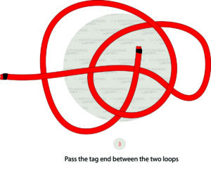 Illustrated Guide: How to Tie a Perfection Loop Knot