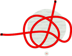 Illustrated Guide: How to Tie a Perfection Loop Knot