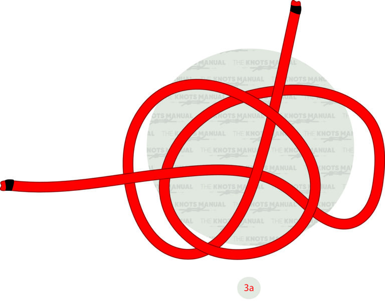 Illustrated Guide: How to Tie a Perfection Loop Knot