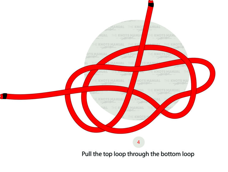Illustrated Guide: How to Tie a Perfection Loop Knot
