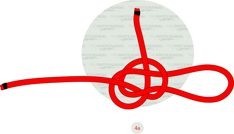 Illustrated Guide: How to Tie a Perfection Loop Knot