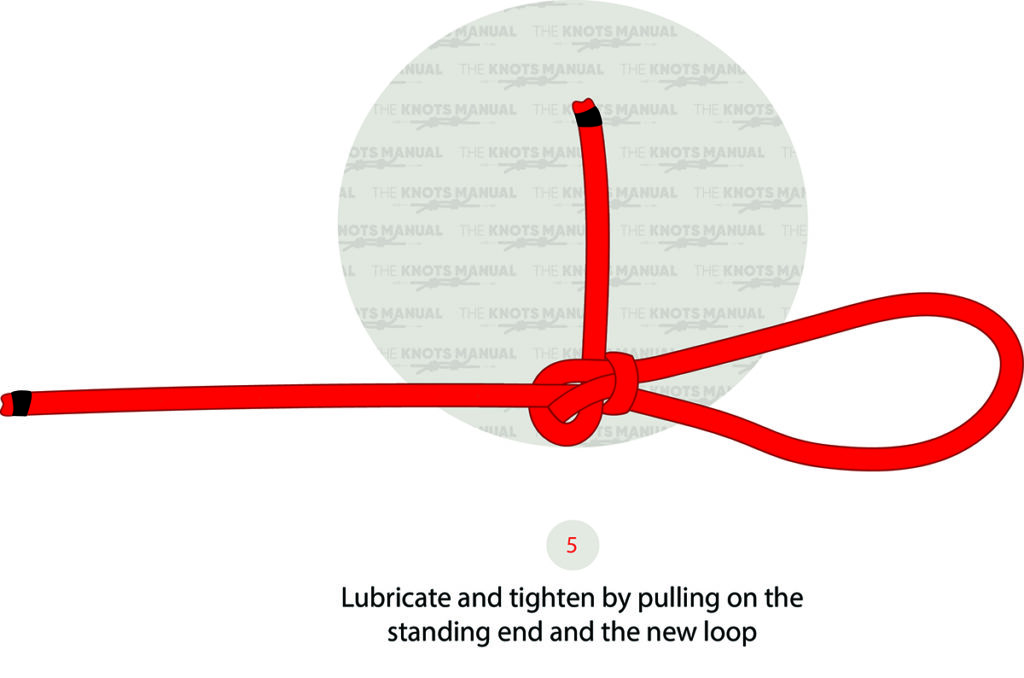 Illustrated Guide: How to Tie a Perfection Loop Knot Illustrated Guide: How to Tie a Perfection Loop Knot