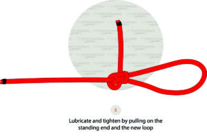 Illustrated Guide: How to Tie a Perfection Loop Knot