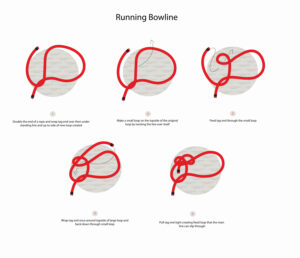 How to Tie a Running Bowline Knot - The Knots Manual