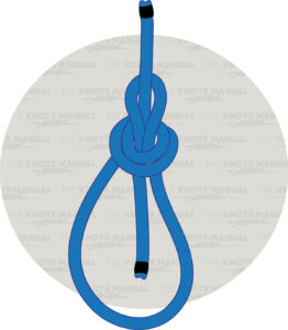 6 Common Bowline Knot Variations - The Knots Manual