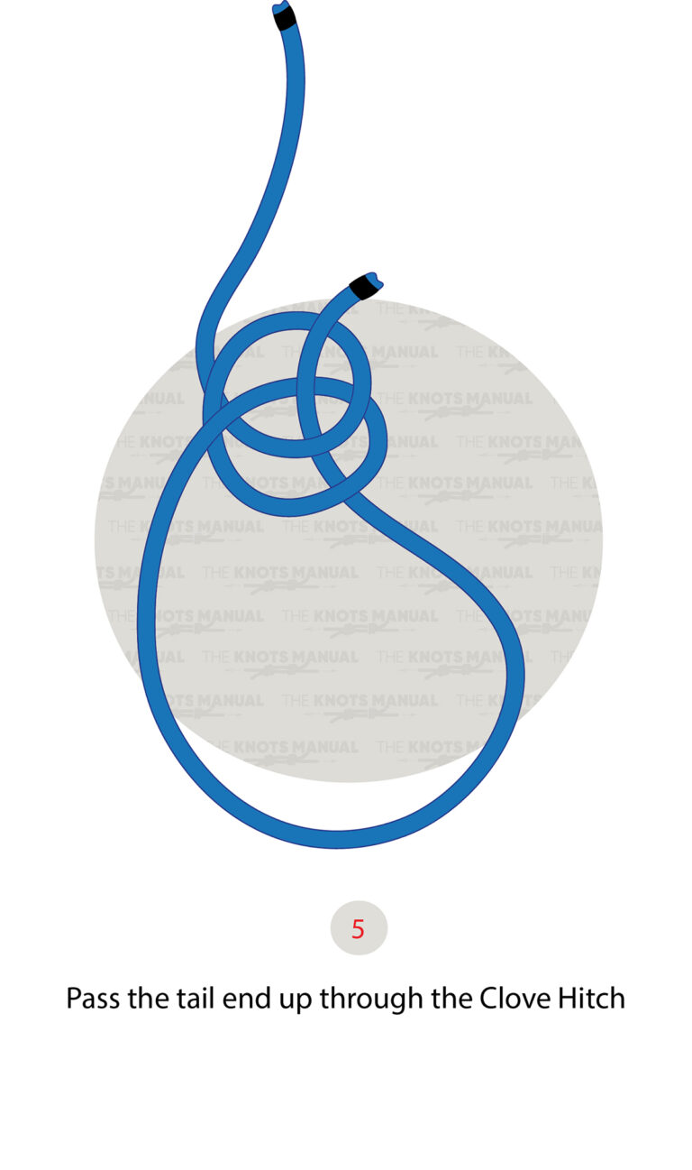 Water Bowline Knot - The Knots Manual