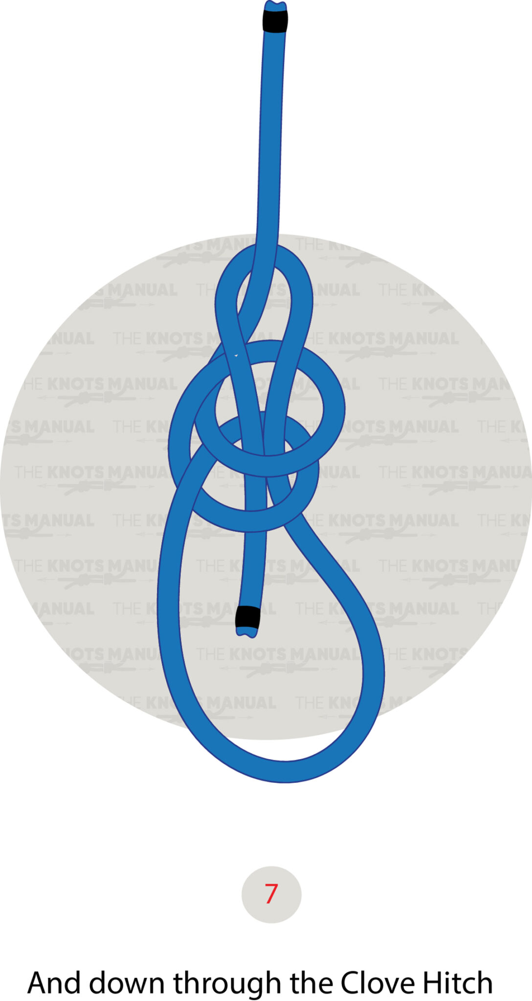 Water Bowline Knot - The Knots Manual