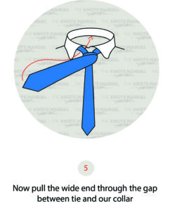 How to Tie the Prince Albert Tie Knot (Illustrated Guide)